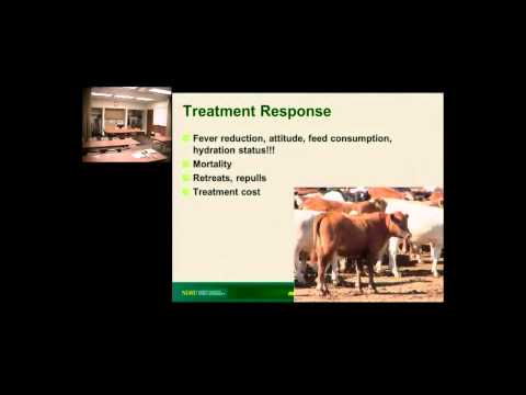 Which calf needs extra medicine:Updates in identification and treating