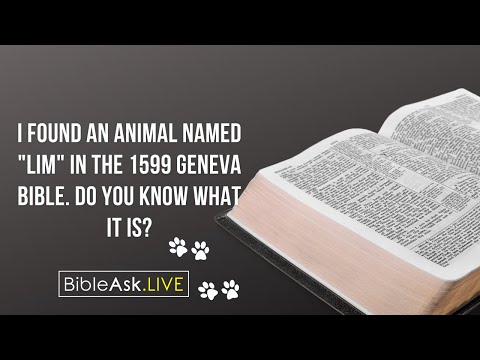 I found an animal named "Lim" in the 1599 Geneva Bible. Do you know what it is?