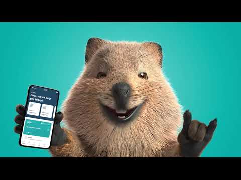 HBF digital member card