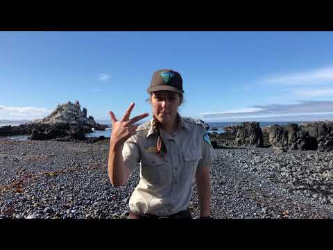 Yaquina Minute: Rules of the Pools