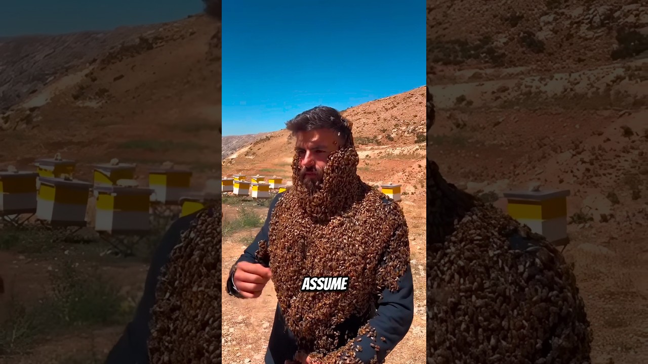 Why Bees Don't Sting Beekeeper