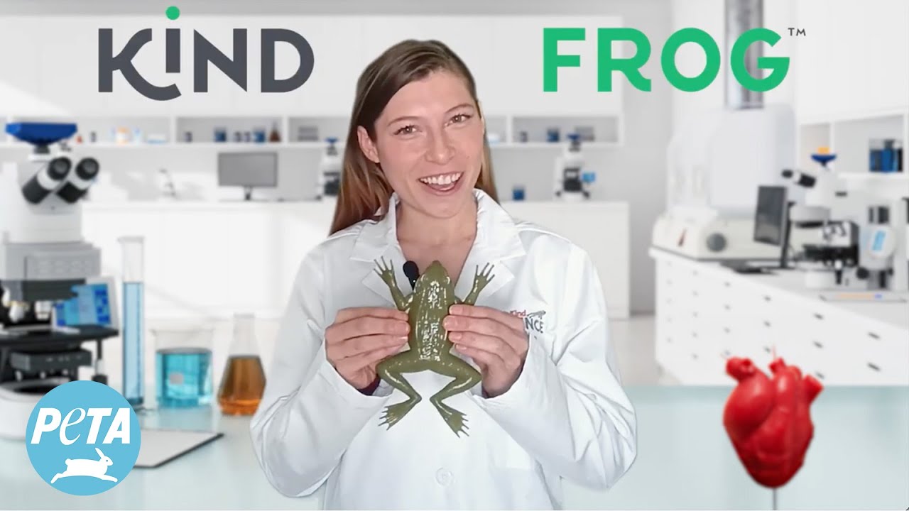 TeachKind Kind Frog Dissection Lesson