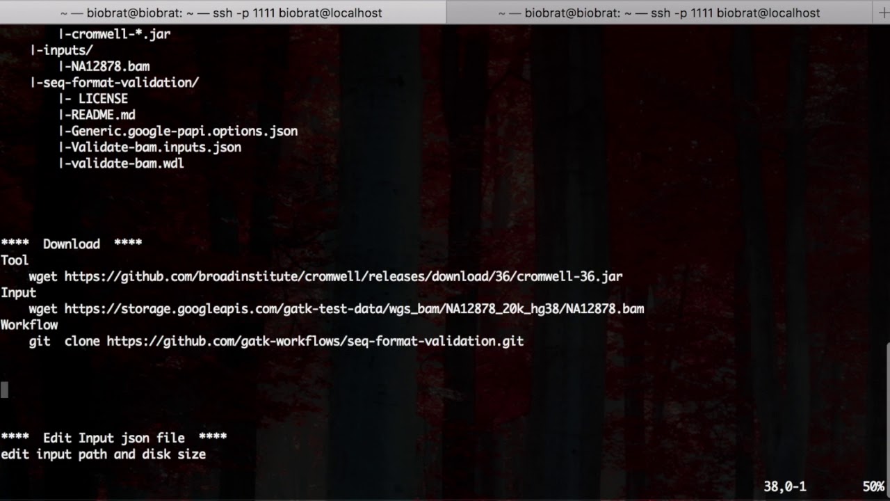 Running a WDL from gatk-workflows git repo