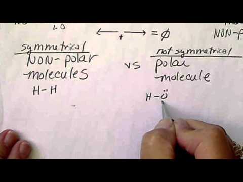 Polar vs Non-polar covalent molecules