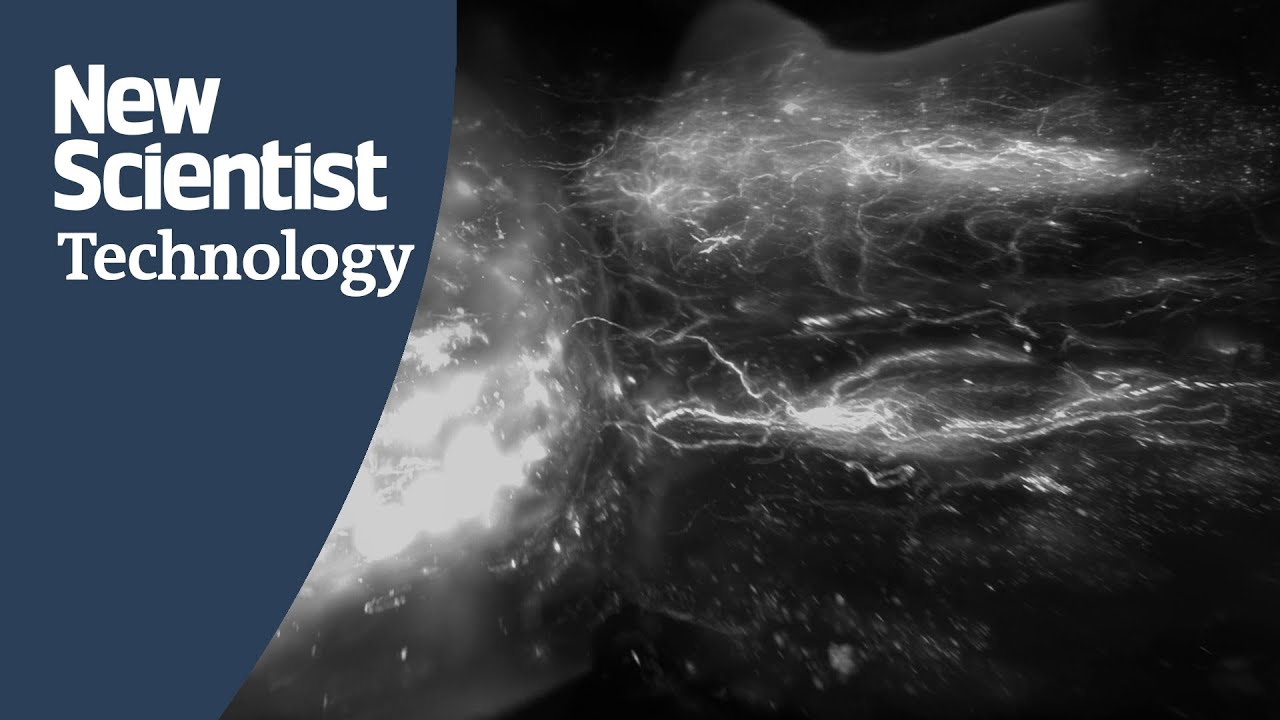 Paralysed mice walk again thanks to new gene therapy