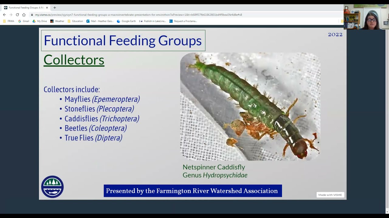 Functional Feeding Groups and the River Continuum Concept