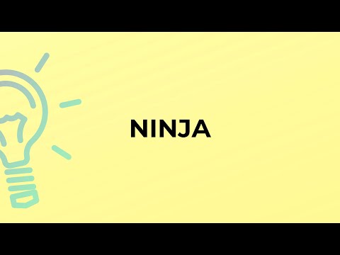 What is the meaning of the word NINJA?