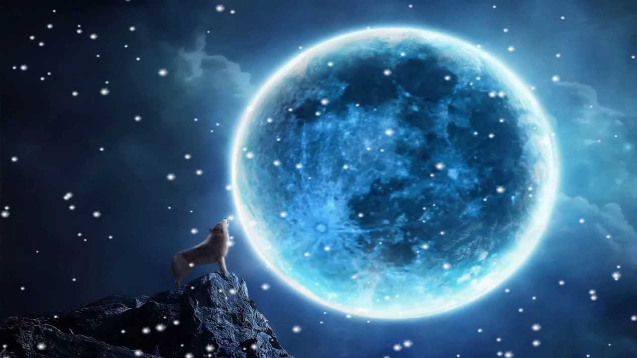 Howling Wolves Animated Wallpaper http://www.desktopanimated.com
