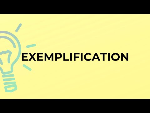 What is the meaning of the word EXEMPLIFICATION?