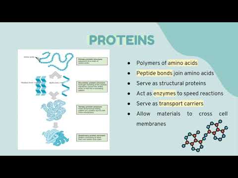 [BOTA] CHEMICAL COMPONENTS OF A PLANT CELL
