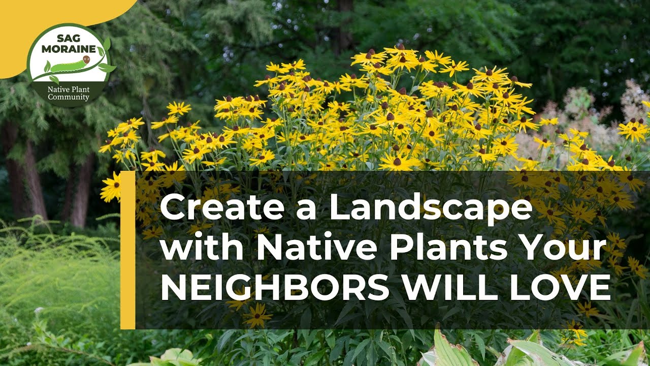 Create a Landscape with Native Plants Your NEIGHBORS WILL LOVE