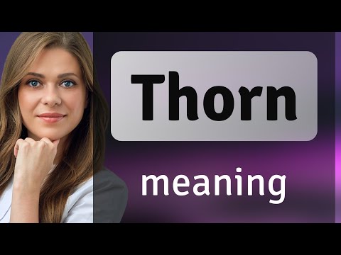 Thorn | what is THORN definition