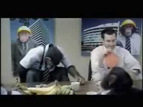 CareerBuilder.com: Monkey Business (Business Board Meeting)