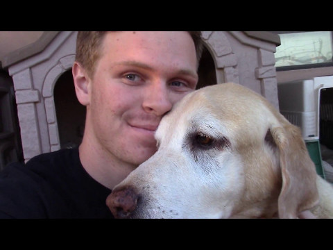 Dog. A Poem by Carson Schilling.