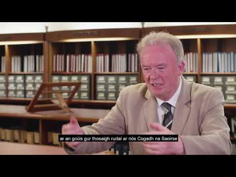 Accessing the archives (Irish subtitles)