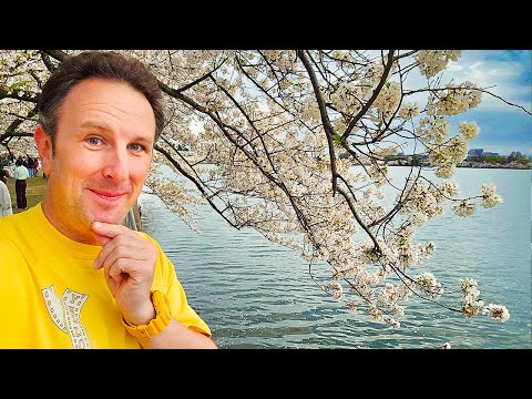 Answering Your Frequent Questions About Yellow Productions