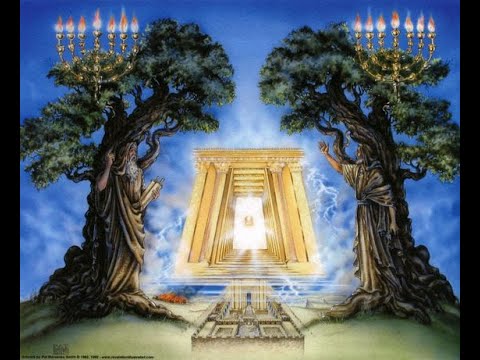 THE SPIRITUAL AND# PHYSICAL MEANING OF# THE OLIVE TREE# IN THE BIBLE