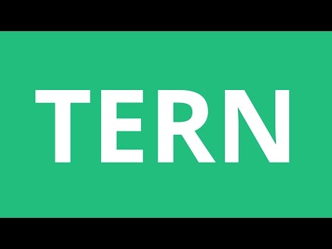 How To Pronounce Tern - Pronunciation Academy