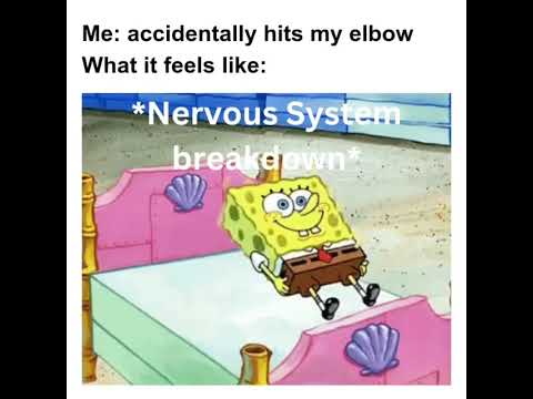 Funny SpongeBob Memes #shorts