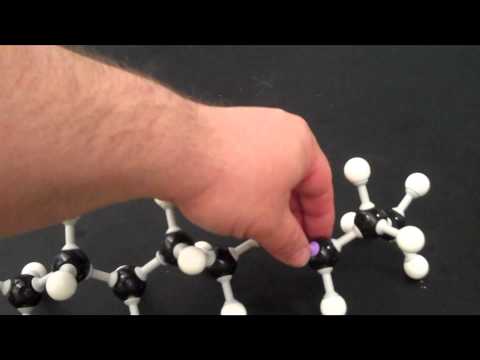 UNIT 2: NUTRITION | HFA Grade 12