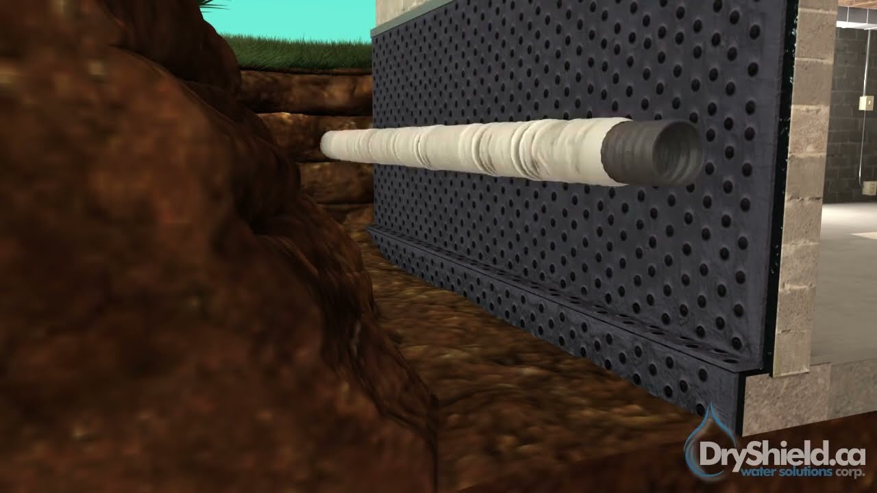 Basement Waterproofing Explained: Interior vs. Exterior Systems