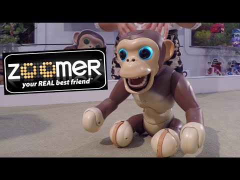 Monkey Toy - Kids Monkey Toy Latest Price, Manufacturers & Suppliers