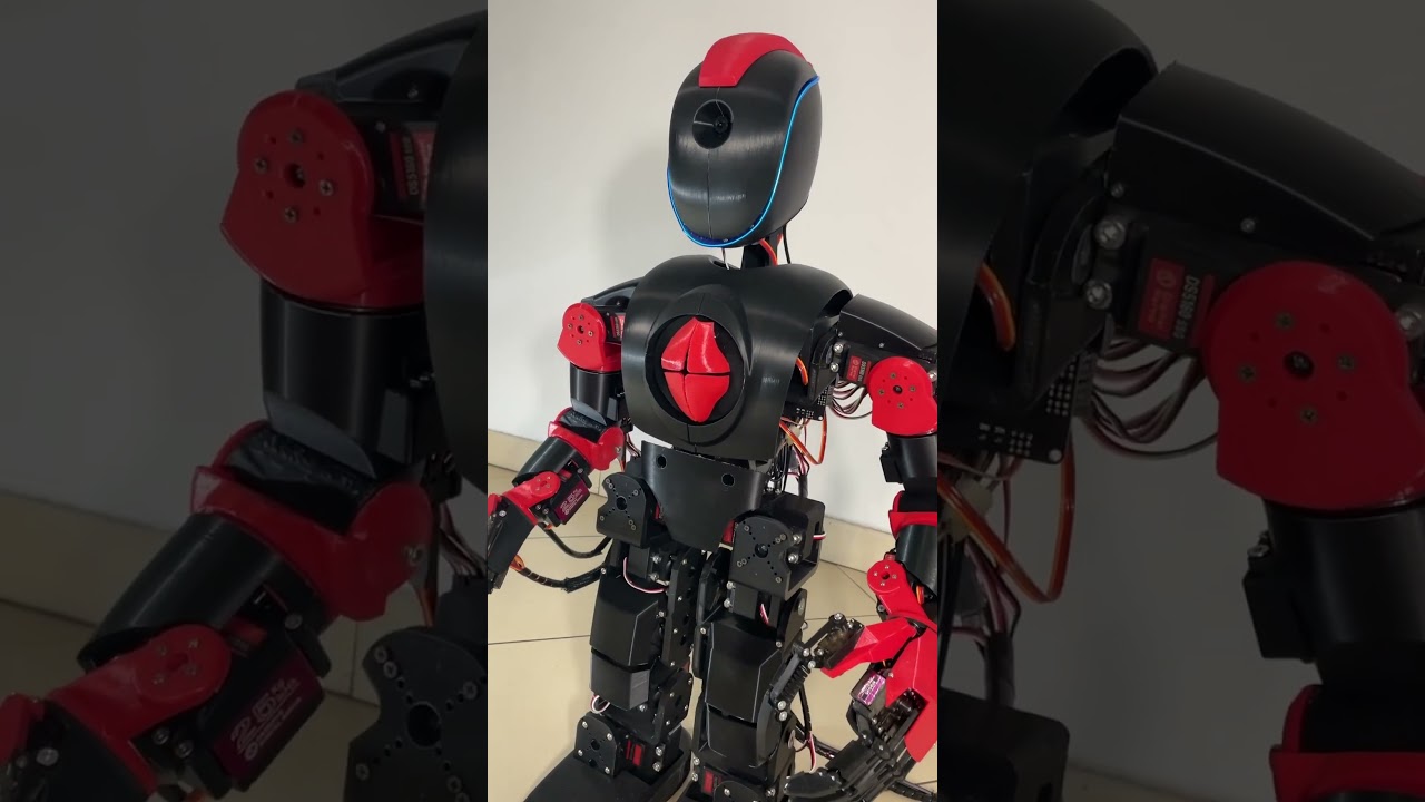 Introducing Youbionic X6