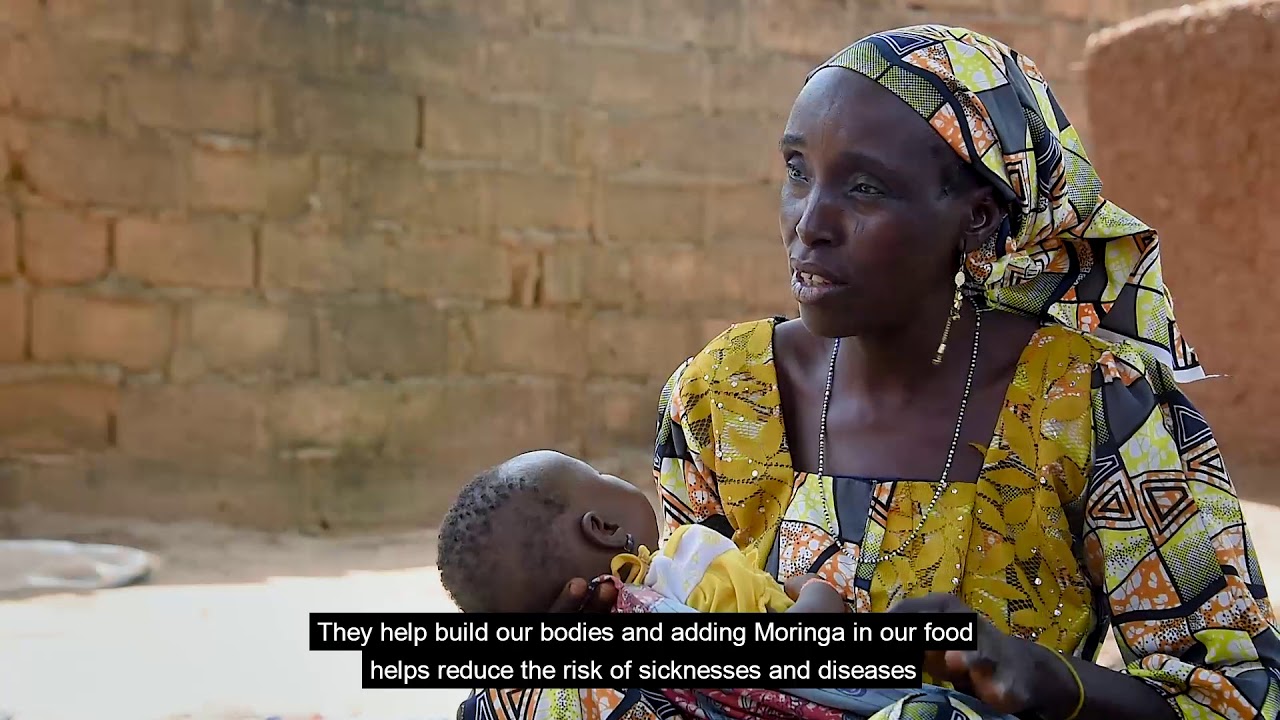 WHO video - Apochi Nelson Owoicho's Portfolio