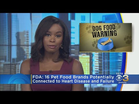 FDA Releases New Report About Potential Connections Between Dog Food And Canine Heart Disease