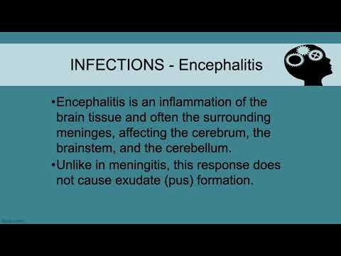 Meningitis and Encephalitis