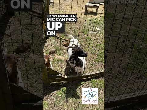Catalyze: Sights and sounds of Tryon Mountain Farms, with Elias Guedira ’26 and Stella Smolowitz ’26