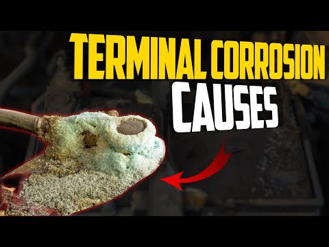 5 Common Causes of a Battery Terminal Corrosion in Your Car & How to Prevent?