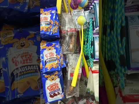 DOLLAR TREE - PORK FEMUR BONE - DOG CHEW