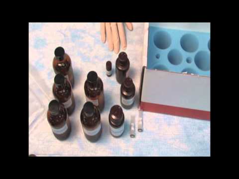 How to set up a Western (part 5)- unboxing the iblot® detection kit
