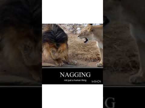 Nagging meaning #englishshorts #english#englishforall #viralenglish #learnenglish #viralenglish