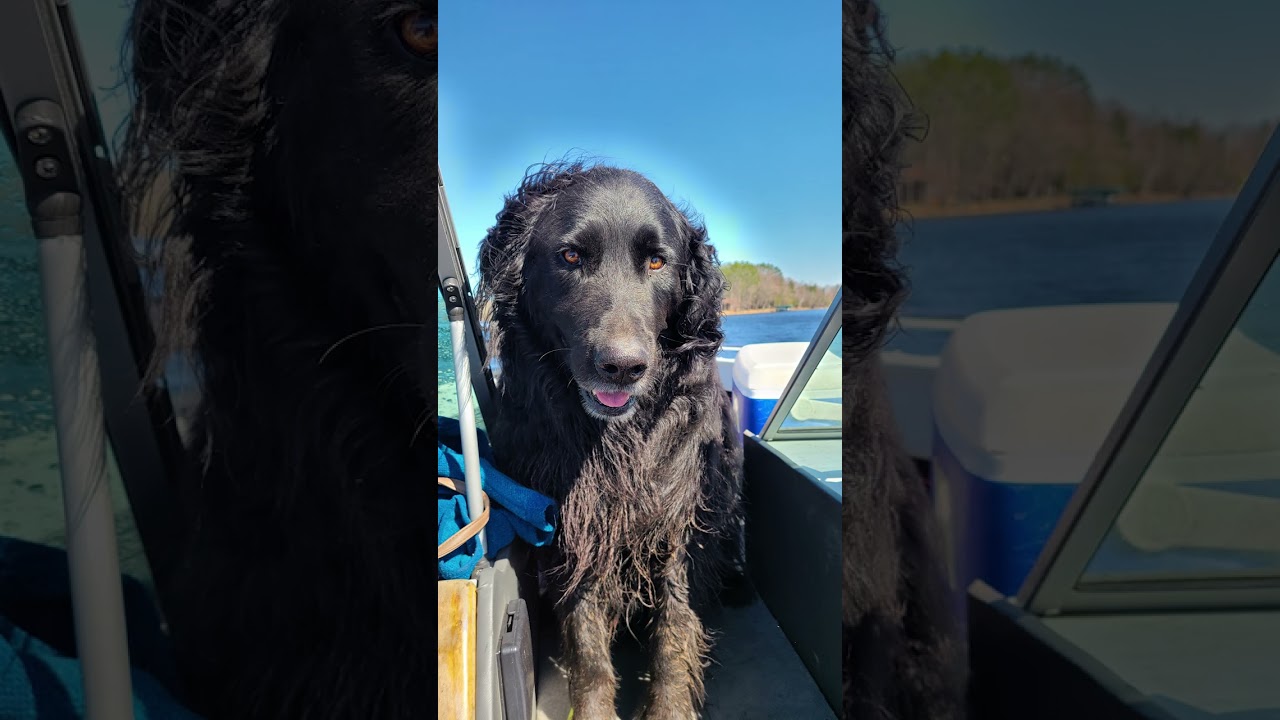 Video Tribute to Hunter
