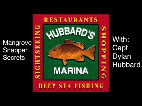 Mangrove snapper fishing secrets + How to catch more snapper | http://www.HubbardsMarina.com