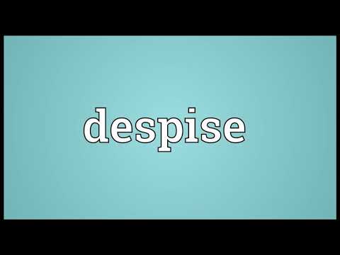 Despise Meaning