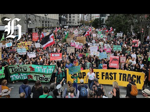 Auckland Protest: Thousands march against Fast-track Approvals Bill in Aotea Square | NZH