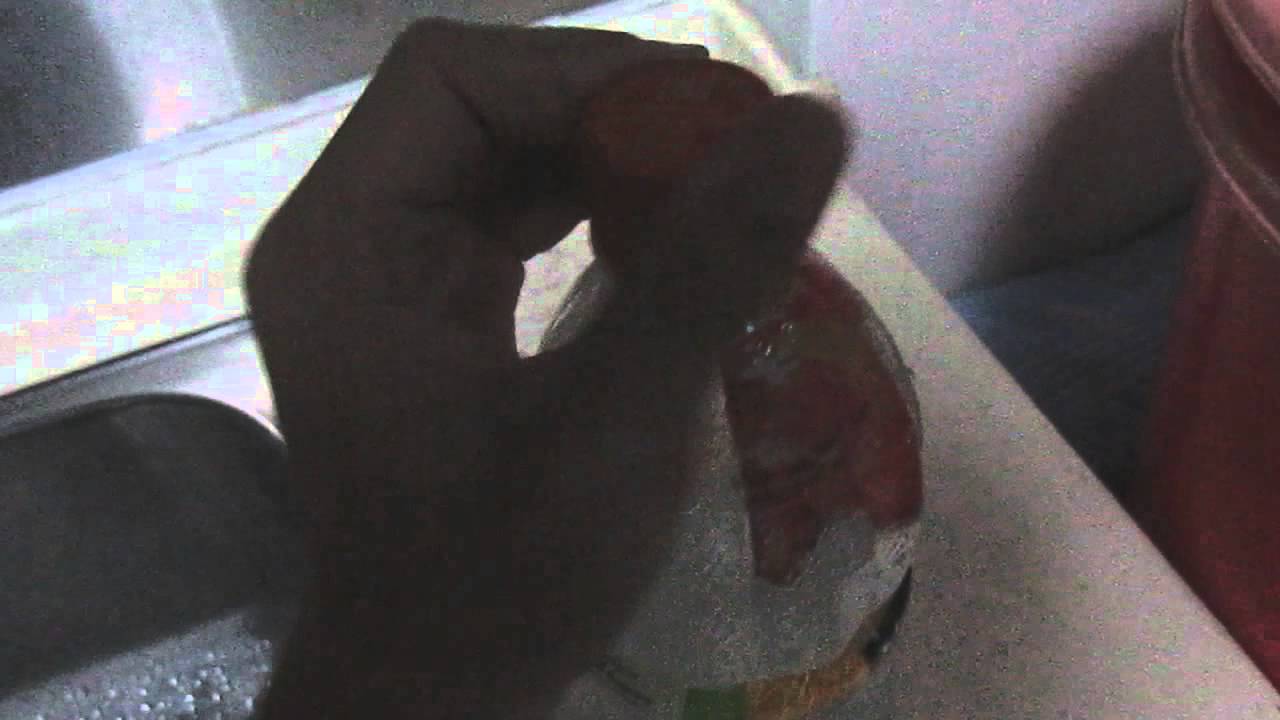 Sec 2 Physics Holiday Assignment