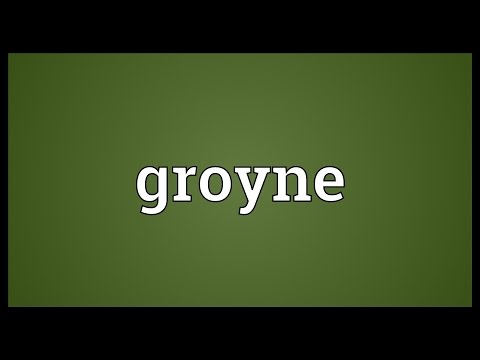 Groyne Meaning