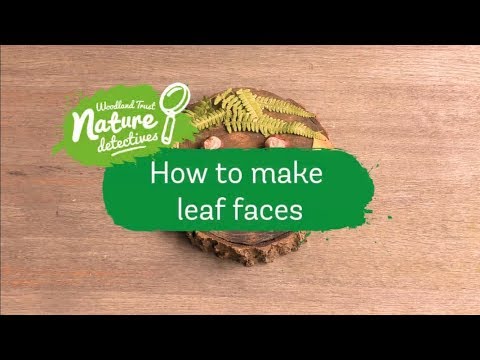 Craft for kids - Woodland faces | Nature Detectives