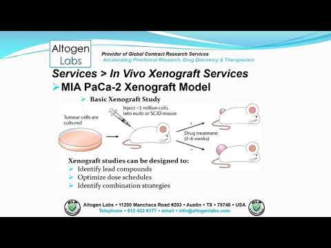 Altogen Labs MIA PaCa-2 Xenograft Service Pancreatic Cancer