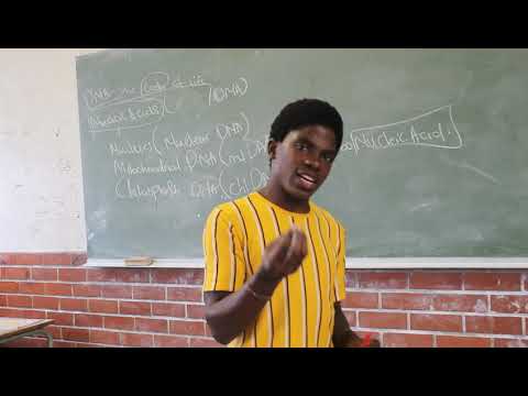 Life Sciences Grade 12 Full tutorial - DNA -The Code of Life