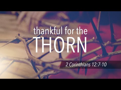 A Thorn in the Flesh