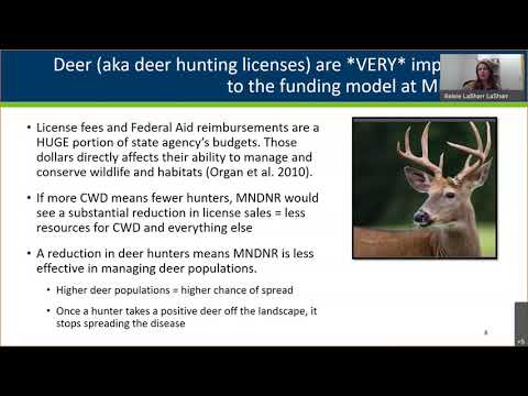 31 CWD: What hunters need to know