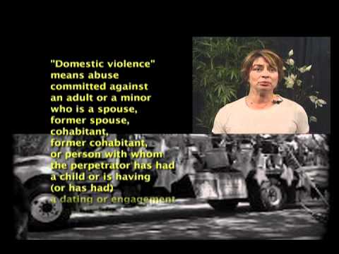 "Domestic Violence Defined"