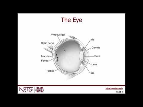 Understanding Vision Impairment and How to Help