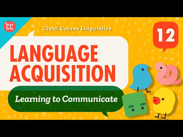 Understanding Language Acquisition: Insights from Crash Course ...