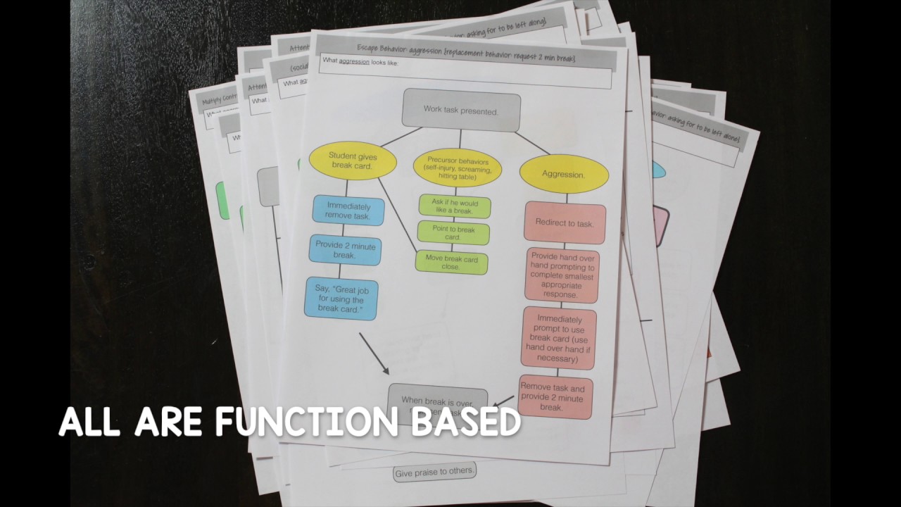 Behavior Plan Flow Charts